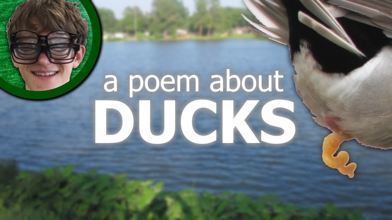 A Poem About Ducks - YouTube
