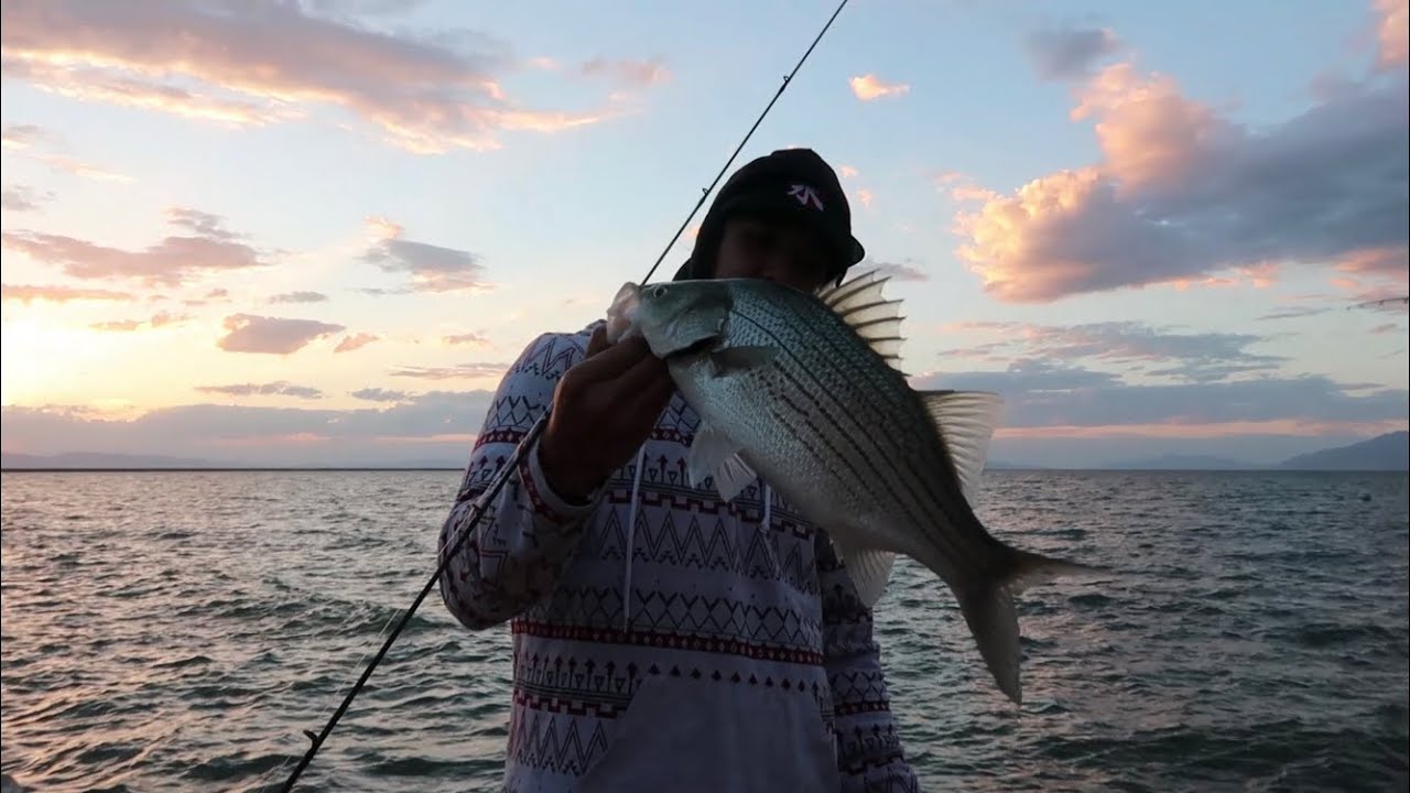 CATCHING MONSTER WIPERS AT WILLARD BAY - YouTube