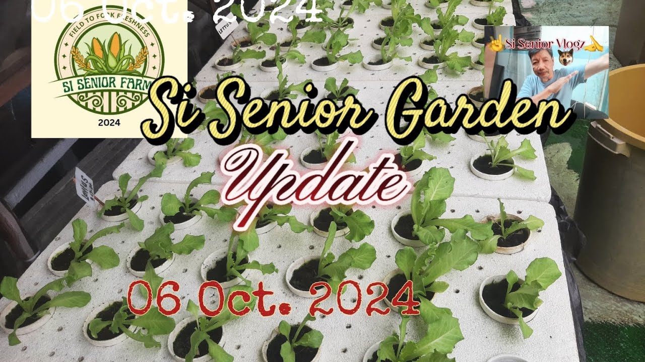 Si Senior Vlogz #251|Si Senior Garden Latest update @Si Senior Vlogz 😉👌 ...