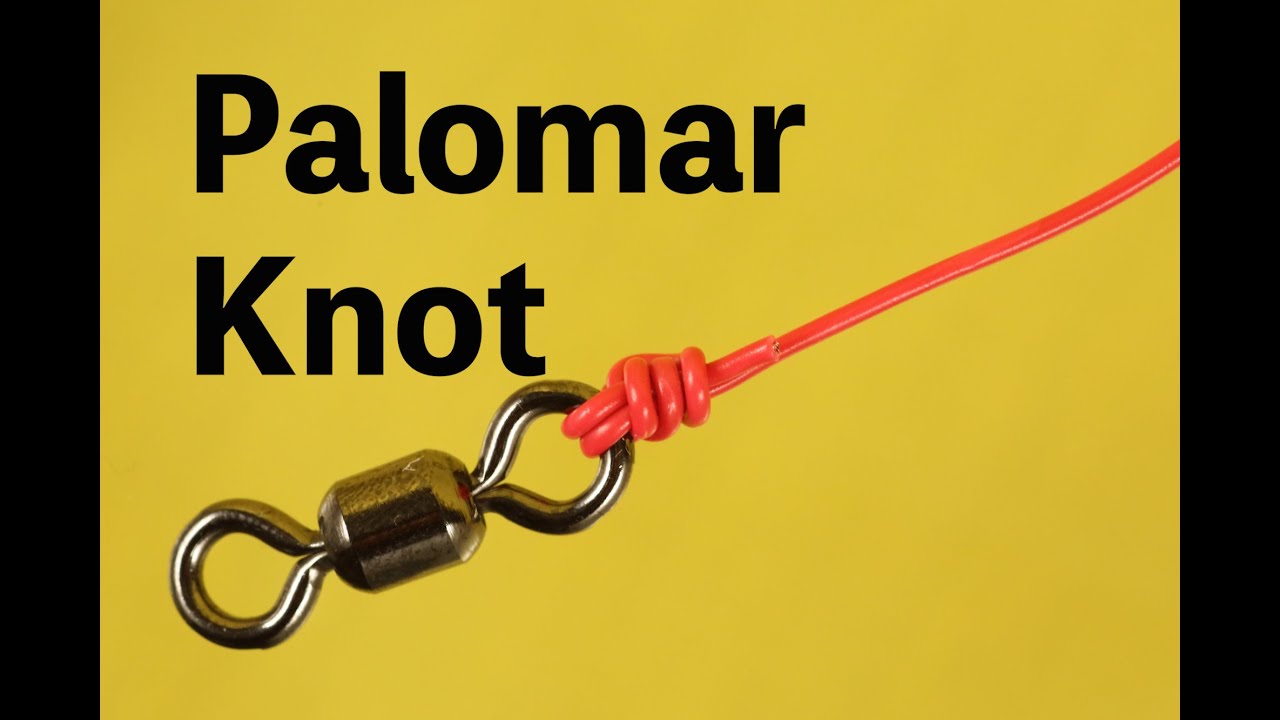 Fishing Knots For Hook swivels lure etc Palomar Knot YouTube fishing-knots-for-hook-swivels-lure-etc-palomar-knot-youtube