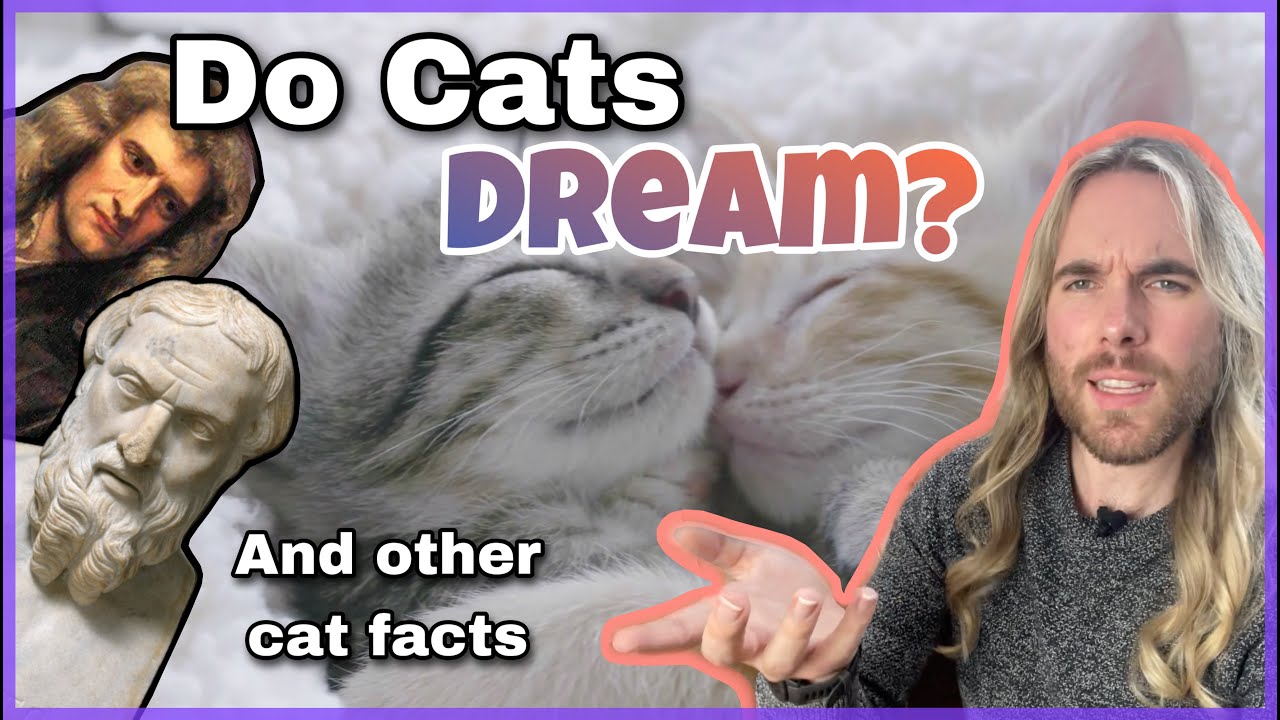 Do Cats Dream Do Cats Have Elbows 10 Surprising Facts About Cats do-cats-dream-do-cats-have-elbows-10-surprising-facts-about-cats