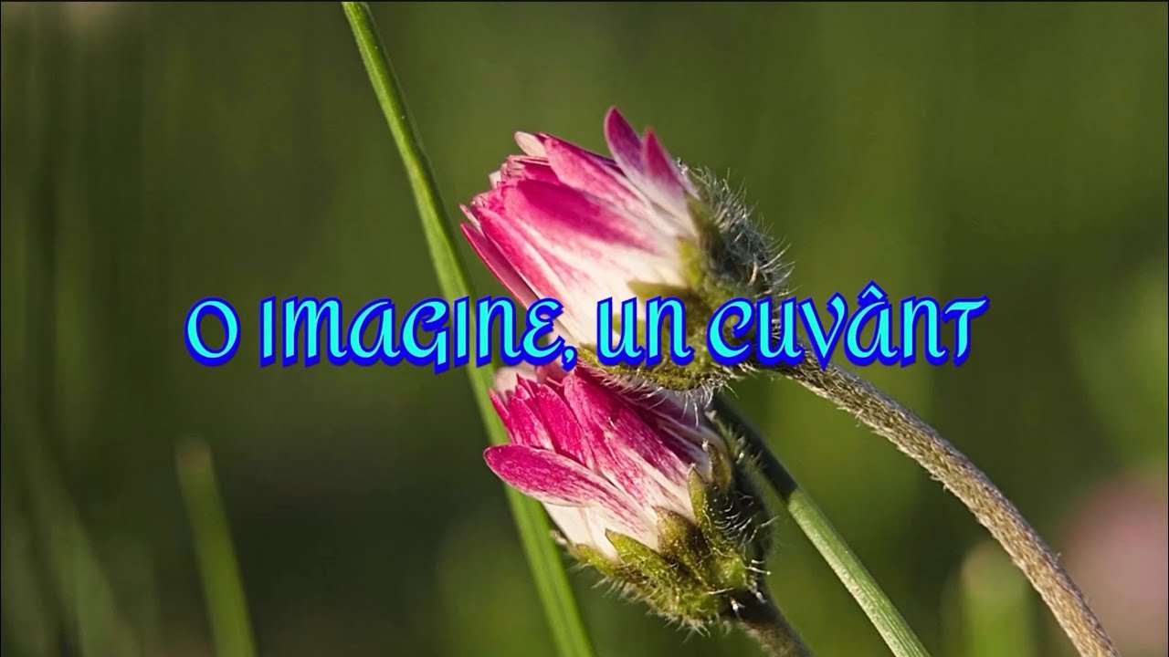 O IMAGINE, UN CUVÂNT - 19 05 2023 - YouTube