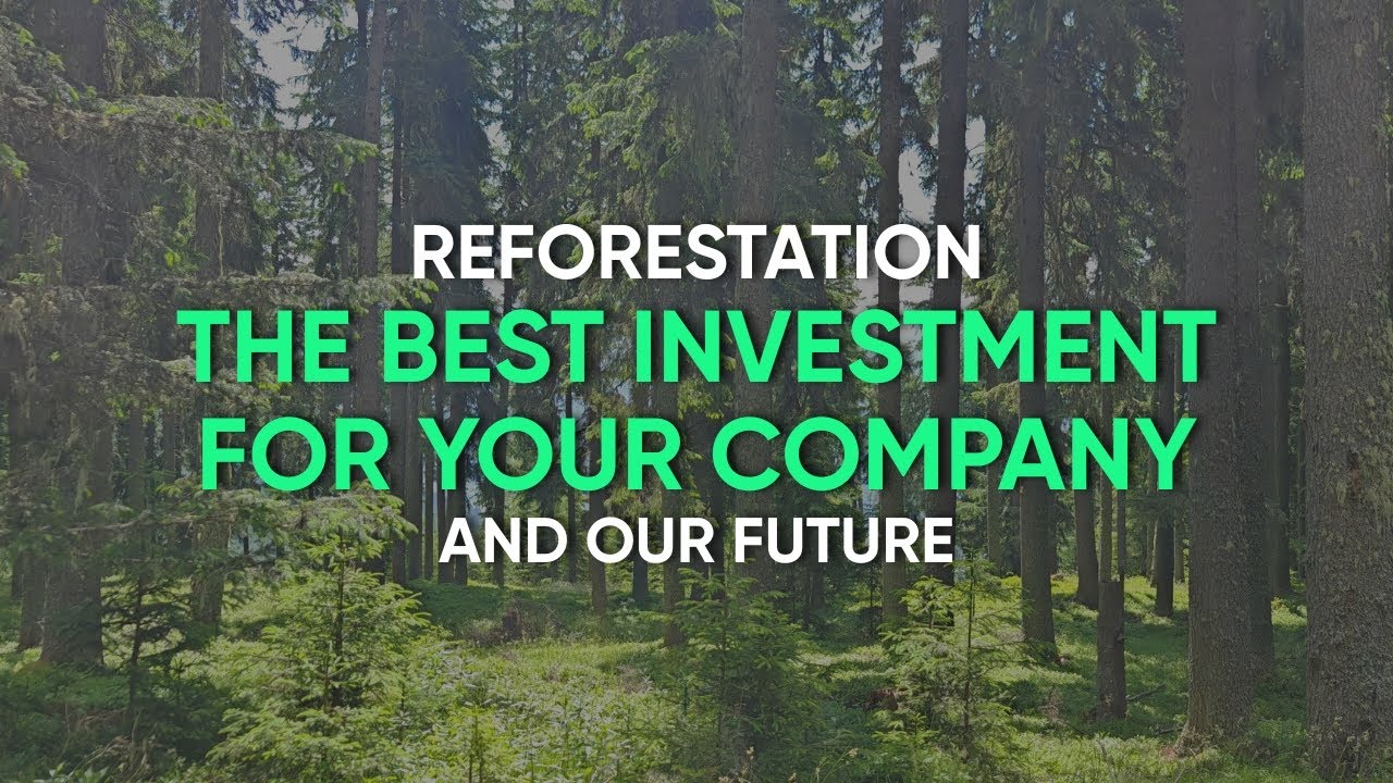 Reforestation: the best investment for your company and our future ...