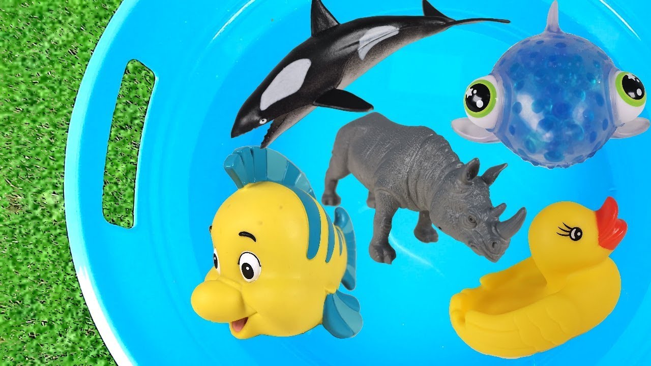 Learn Sea Animals and Zoo Animals with Kids Pool - Fish Shark Orca ...