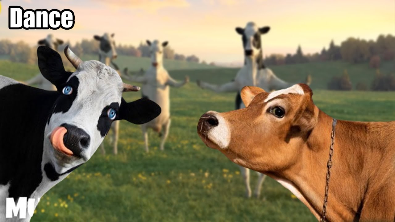 FUNNY COW DANCE 4 │ Cow Song & Cow Videos 2024 - YouTube
