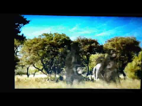Walking with beasts next of kin part 7/under attack