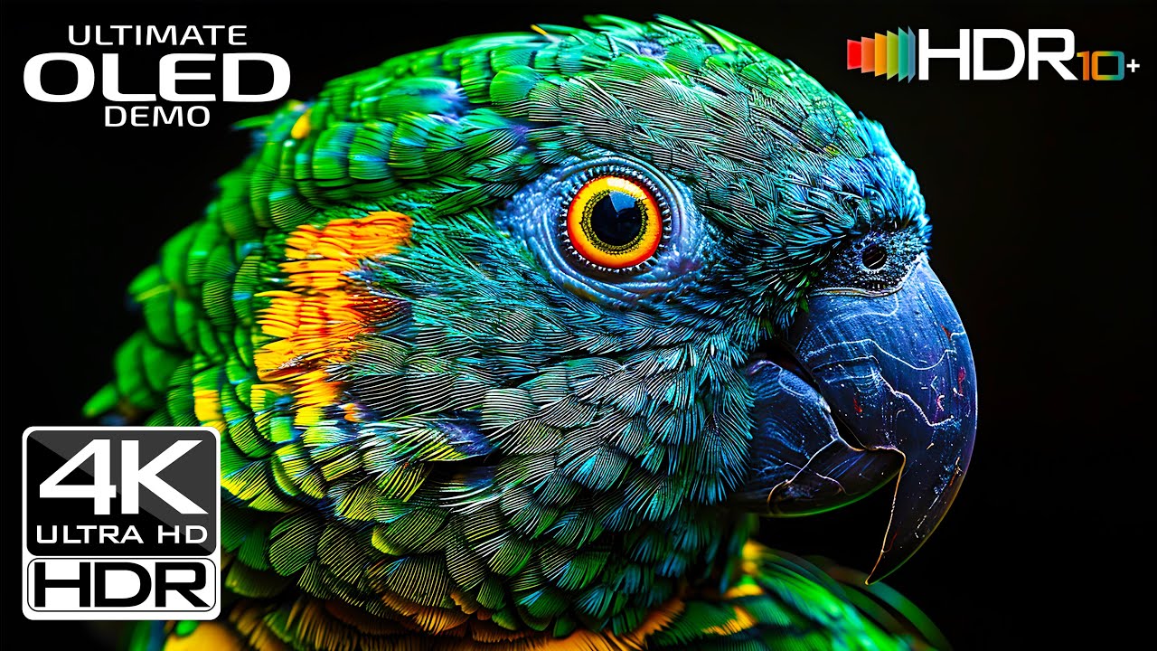 ULTIMATE 4K ULTRA HD 4k OLED TEST HDR 60FPS | SPECIAL 4K HDR TEST Color ...