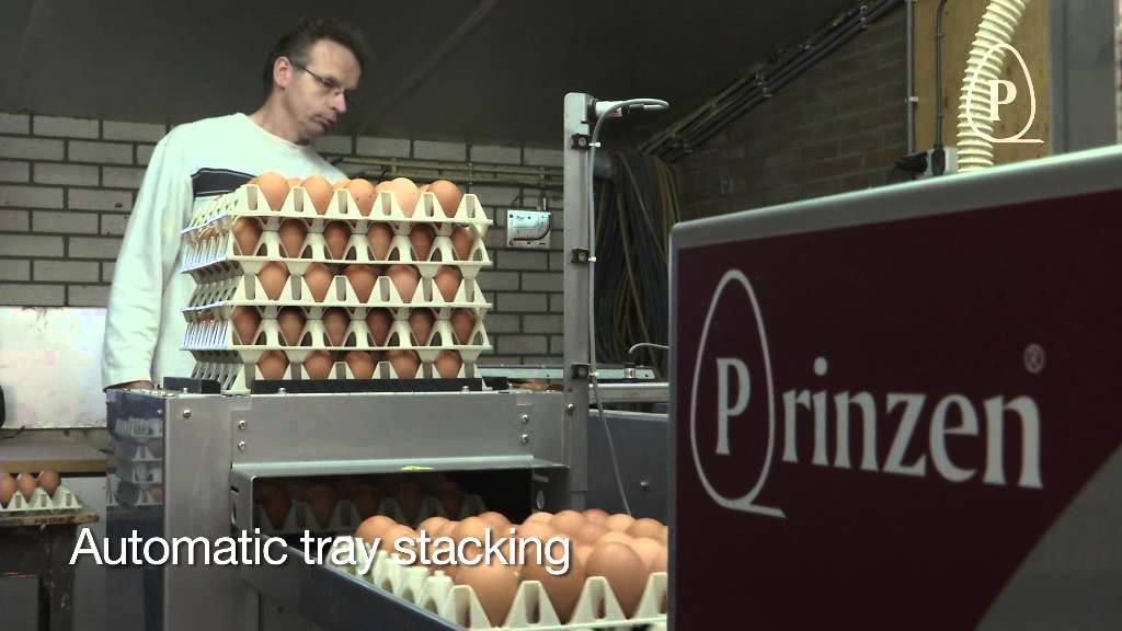 Упаковщик инкубационного яйца Prinzen PSPC30 - YouTube