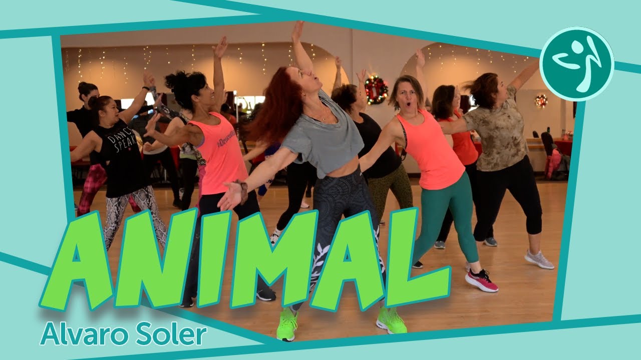 Animal - Alvaro Soler | Zumba© Choreography by Silvie Fitness | Dance ...