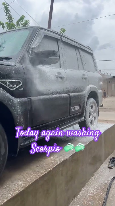 Scorpio lovers Please like and share - YouTube