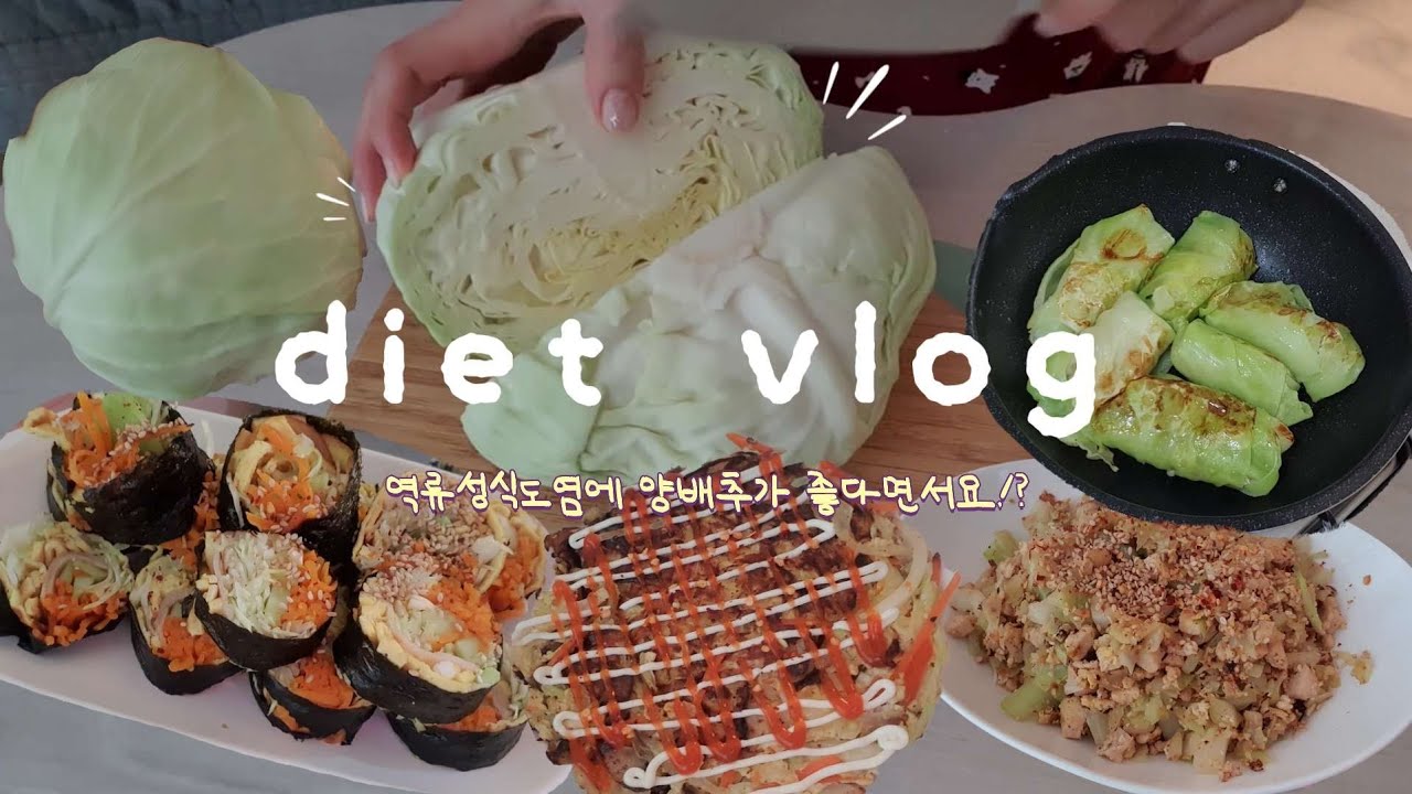 Vlog 다이어트 브이로그 역류성식도염 다이어터가 양배추에 집착하는 일상 양배추볶음밥 양배추김밥 양배추전