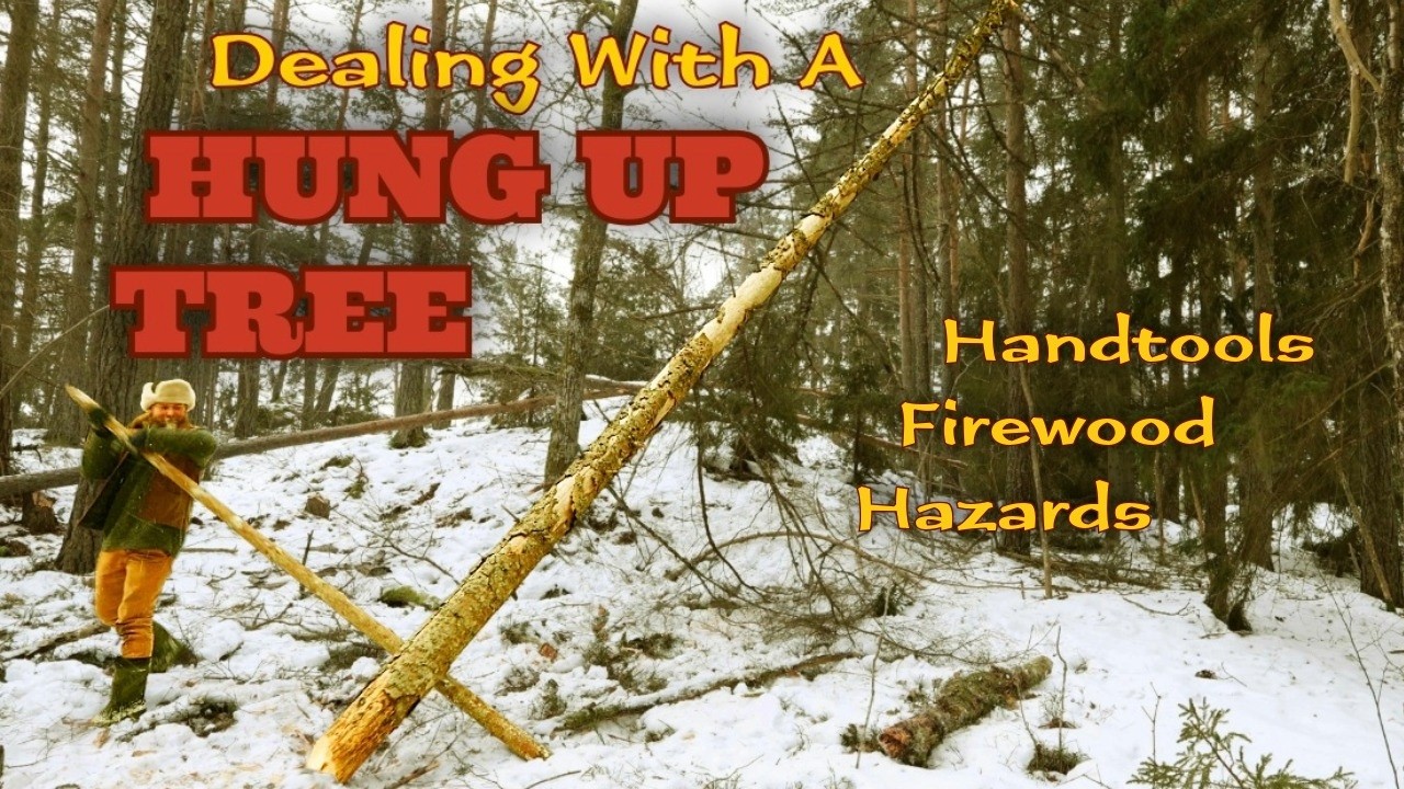 Getting a HUNG UP TREE Down Safe & Easy! Firewood Chopping Tutorial ...