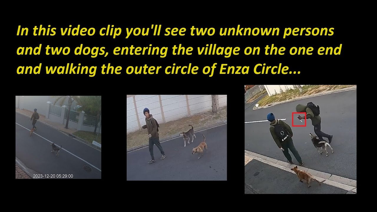 This clip is about two unknown persons and two dogs, entering the ...