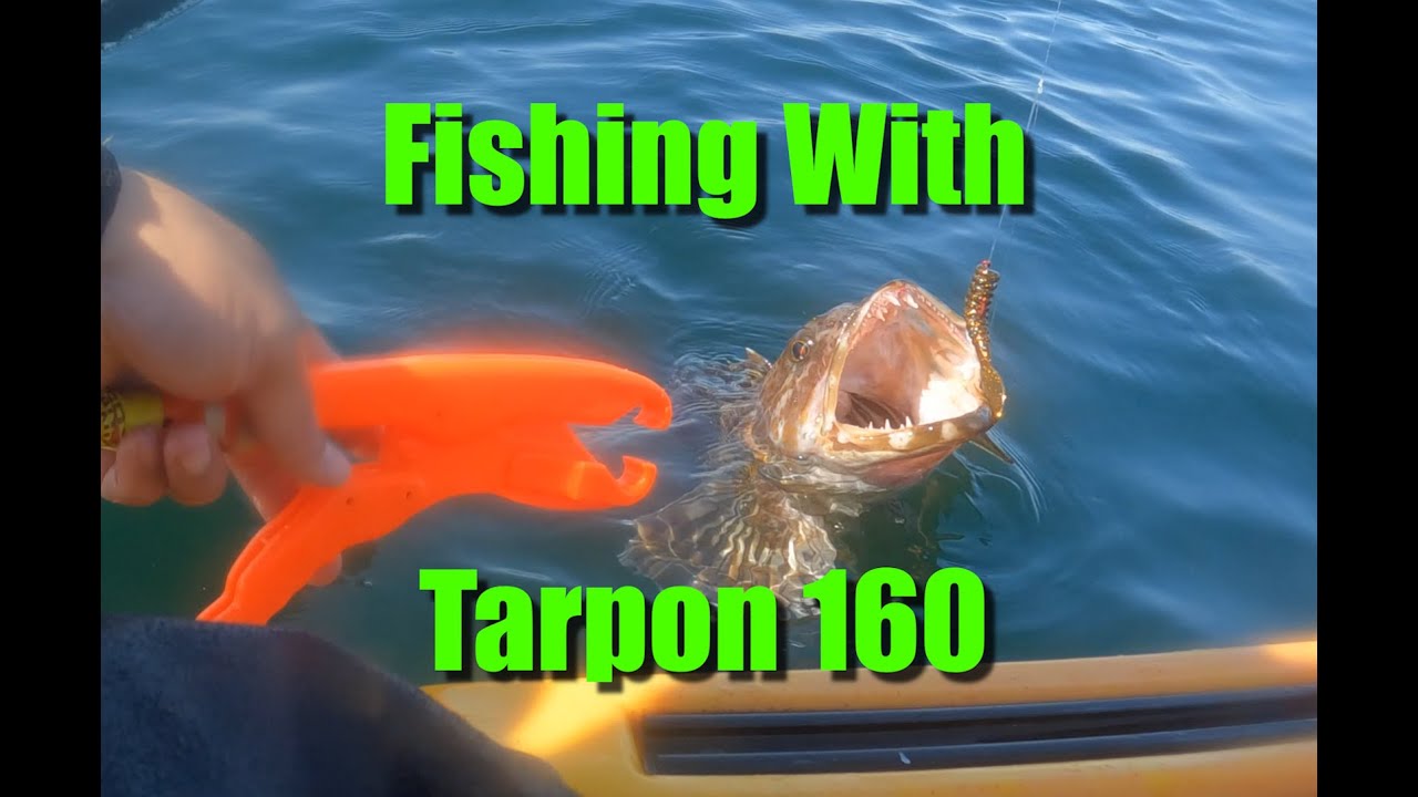 Kayak fishing with the Wilderness Systems Tarpon 160 - YouTube