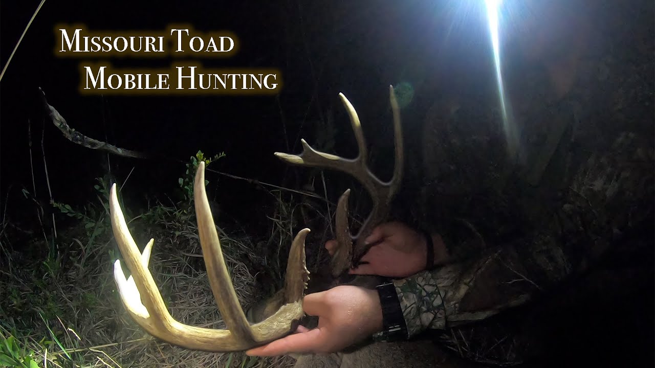 Missouri Toad | Mobile Hunting - YouTube