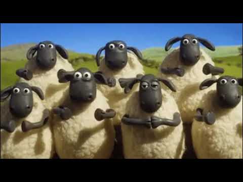 sheeps clapping - YouTube