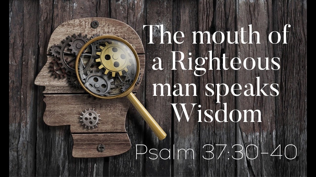 Psalms - through the eyes of The Living Letters ~ Psalm 37:30-40 ...