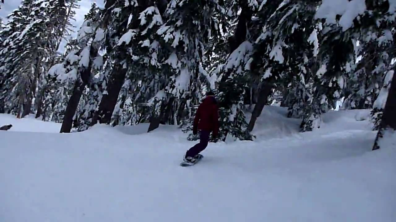 Alayna follow tucker to tree - YouTube