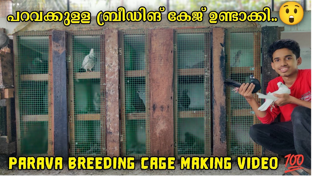 പറവക്കുള്ള ബ്രീഡിങ് കേജ് ഉണ്ടാക്കി..🕊️| Parava Breeding Cage Making ...