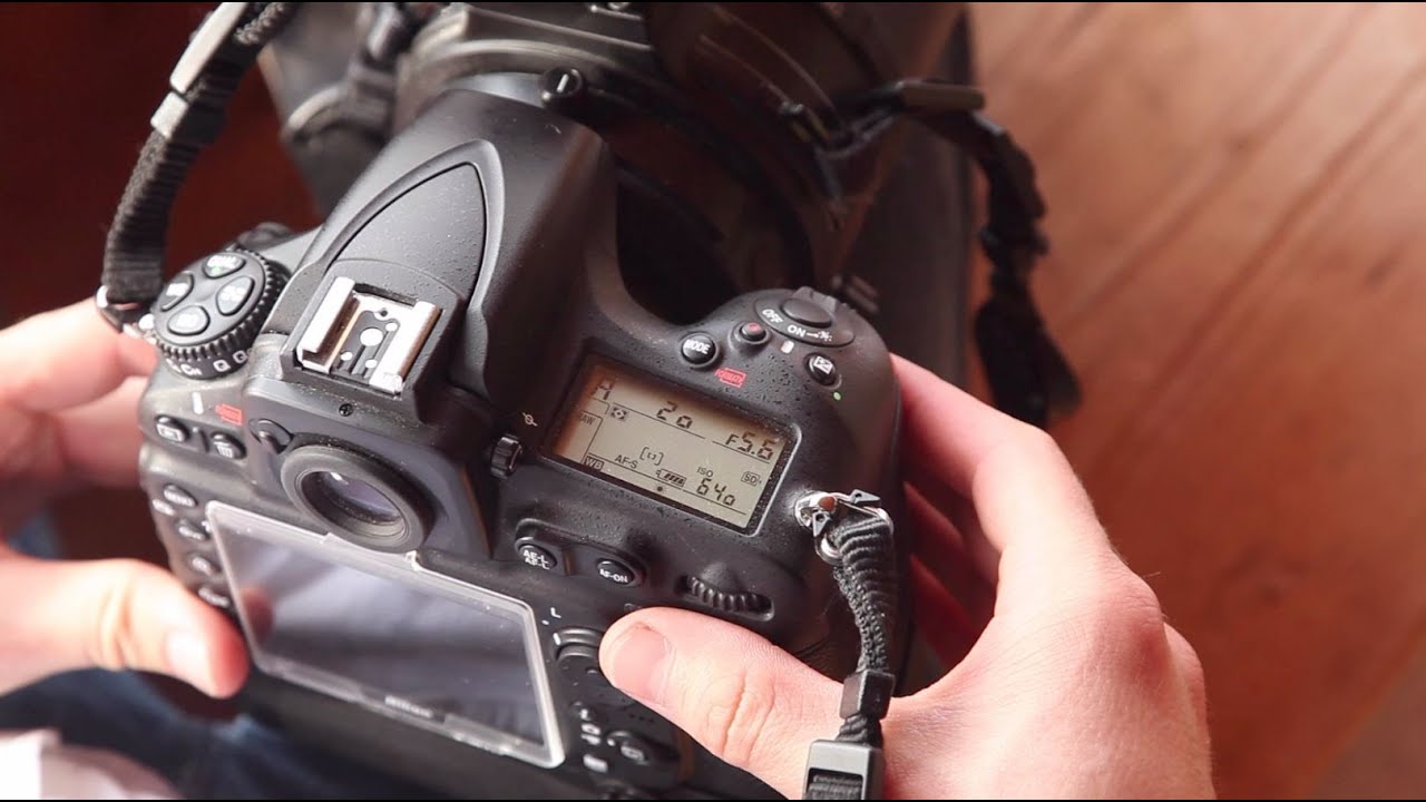 Life in the Wild Part 5: Basic Camera Settings for Wildlife Photography ...