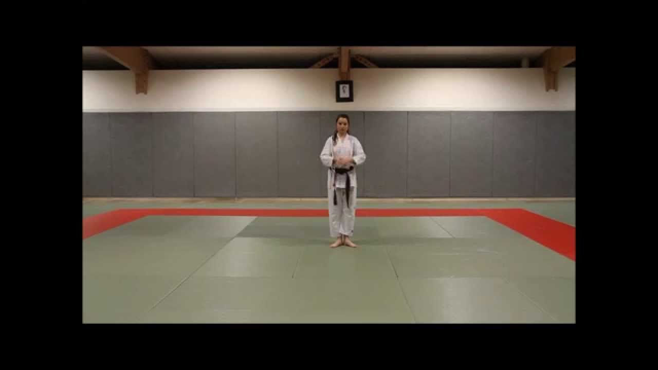 Karate Shito Ryu Pinan Sandan - YouTube