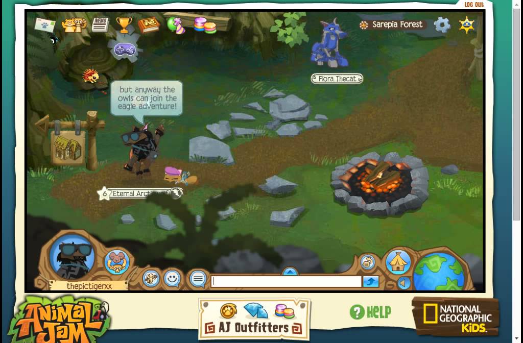 update of new owls!!!!!!! - YouTube