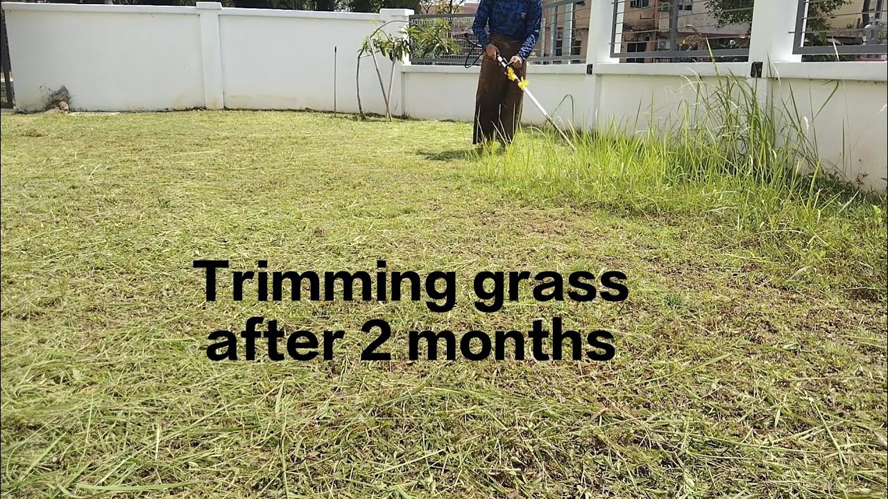 trimming grass after 3 months at house lawn 😯 ( @PGlawncare ) - YouTube