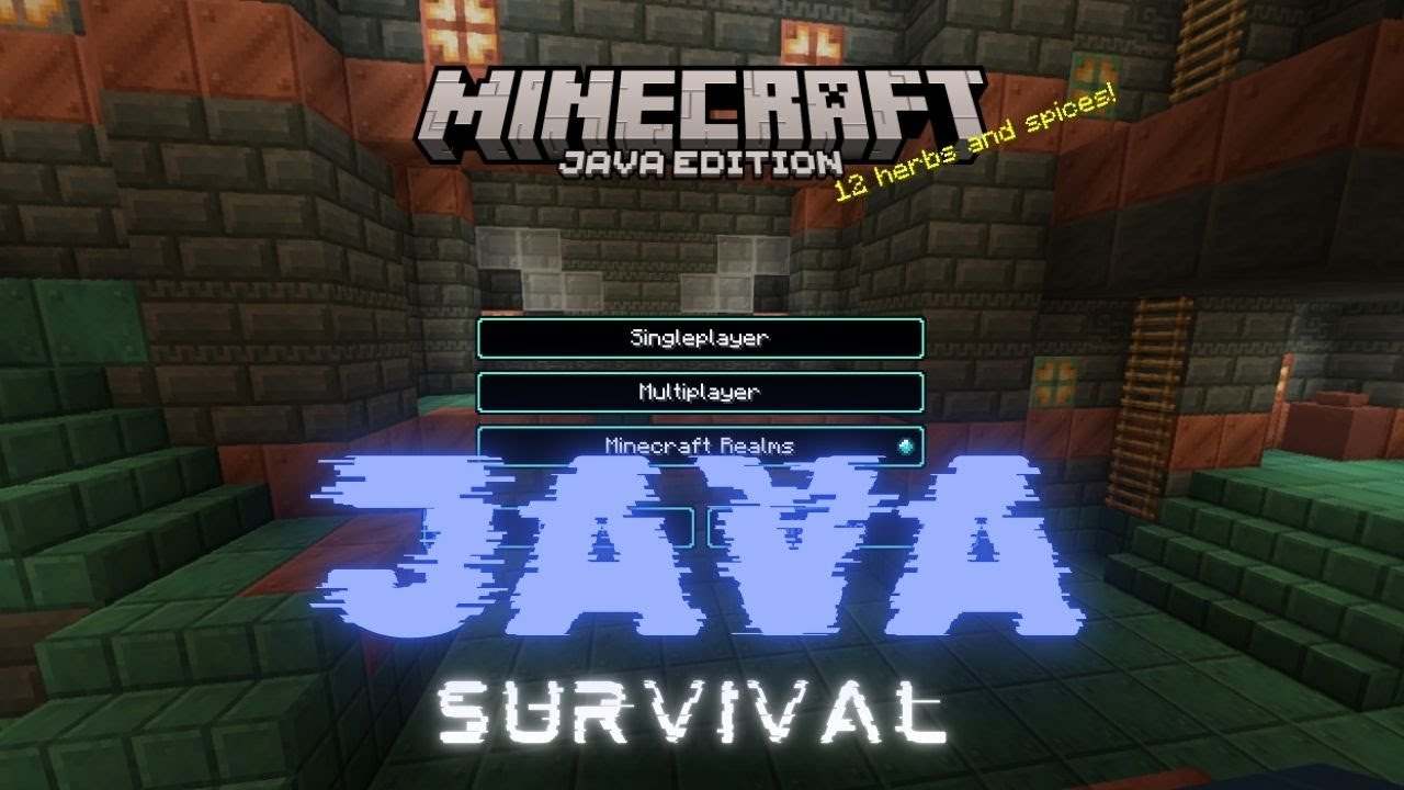 SOLO | MINECRAFT LIVE JAVA SURVIVAL 1.21 with OBS STUDIO PART 2 - YouTube