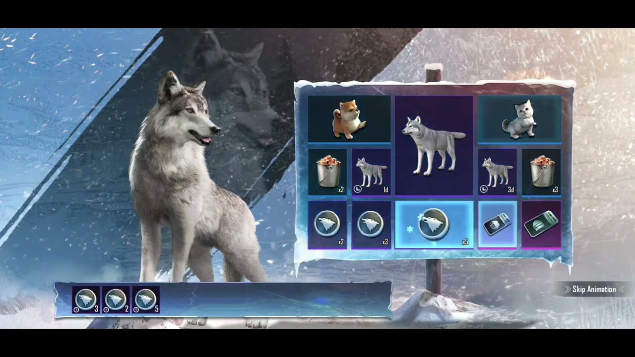 Arctic Wolf Crate Opening - YouTube