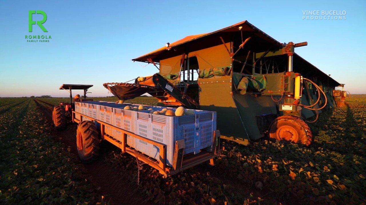 Rombola Family Farms 2017 - YouTube
