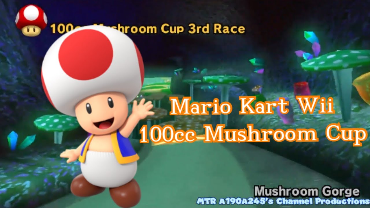 Mario Kart Wii 100cc Mushroom Cup (Toad Gameplay) - YouTube