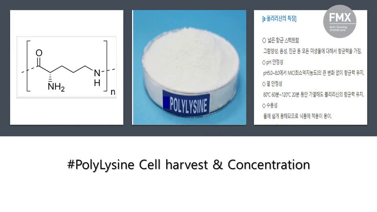 #PolyLysine Cell harvest & Concentration - YouTube