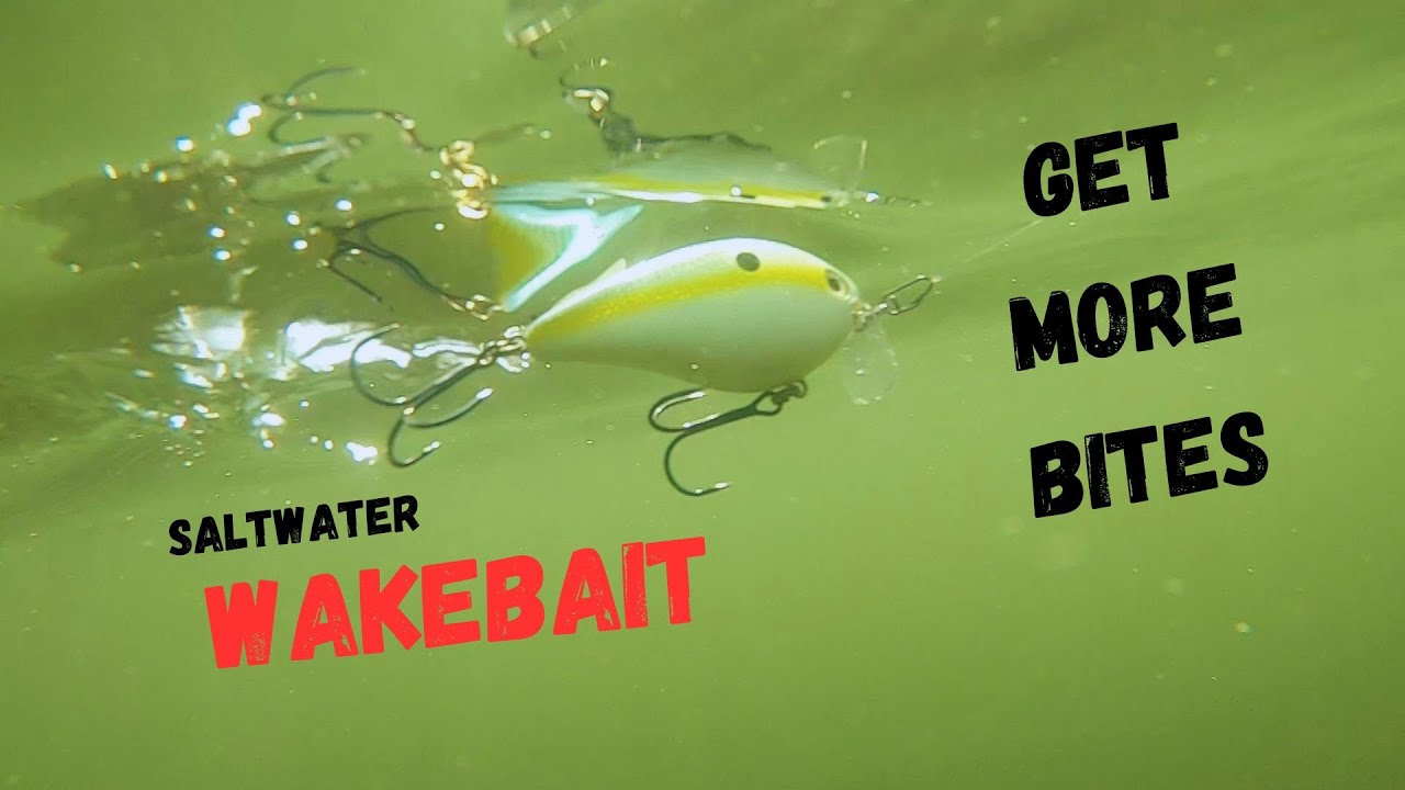 Can't Deny These Results, The Amazing Saltwater Wake Bait! - YouTube