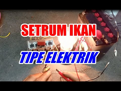 CARA MUDAH MERAKIT SETRUM IKAN ELEKTRIK #ELECTRIC SHOCK FISH. - YouTube
