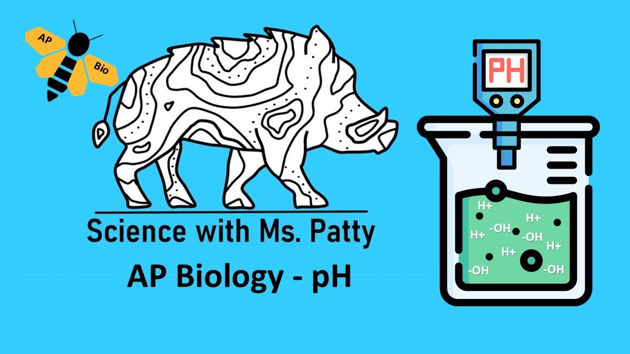 pH (AP Bio: Unit 2) - YouTube