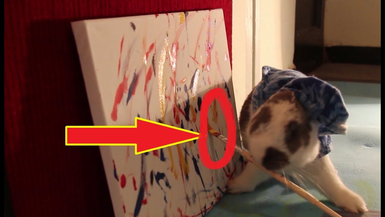 Smart rabbit- I gave him a paint brush, you'll never believe what ...