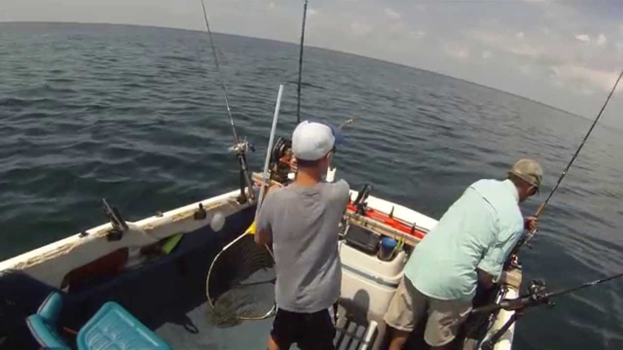 Lake Erie Walleye double header Sturgeon Point, NY 2014 with Brandon and Blaze - YouTube