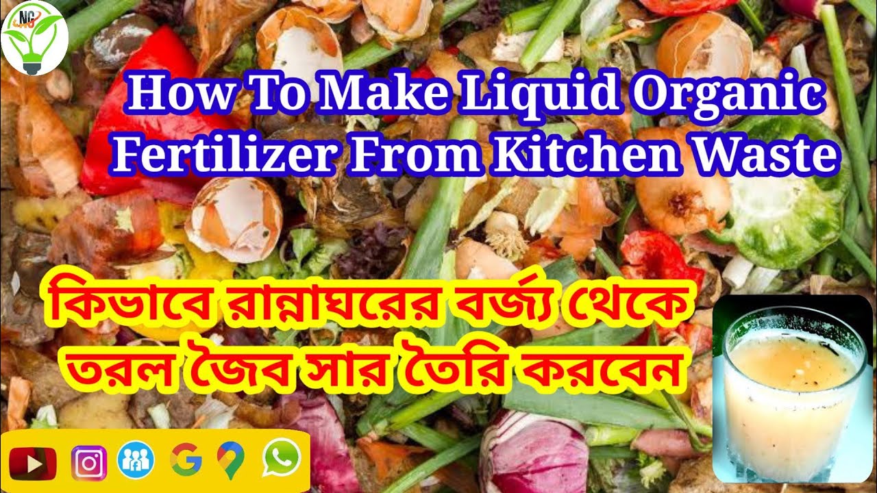 How To Make Liquid Organic Fertilizer From Kitchen Waste / কিভাবে ...