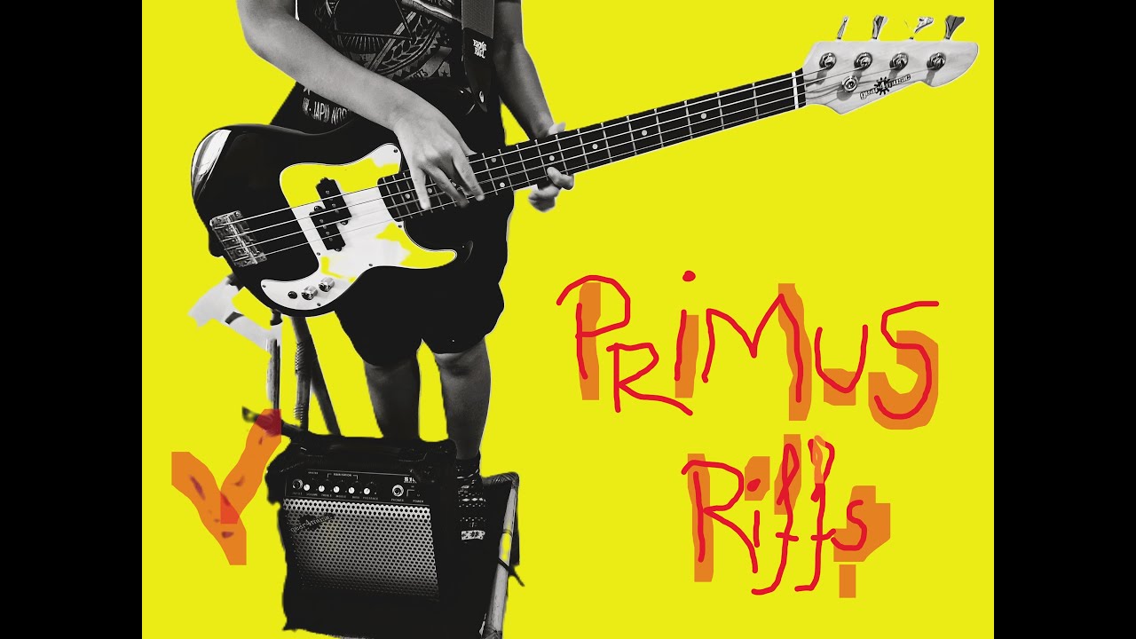 Top 13 bass lines/riffs del grupo Primus - YouTube