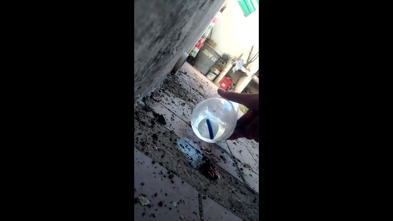 QUEMANDO COSAS | BOTELLA DE ALCOHOL - YouTube