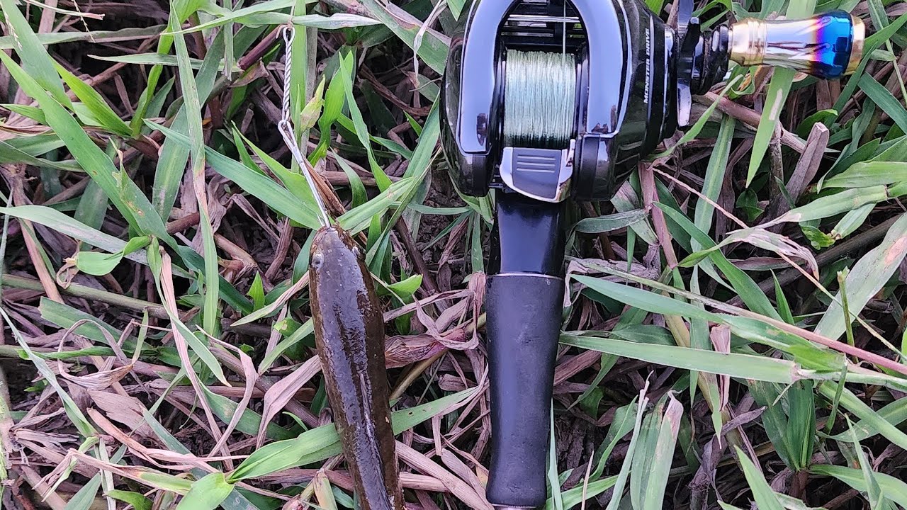 បឹងភូមិអូរ វគ្គថ្មី ភាគ.1 #បបក់ត្រីចុងម៉ោង #fishing #fishman - YouTube