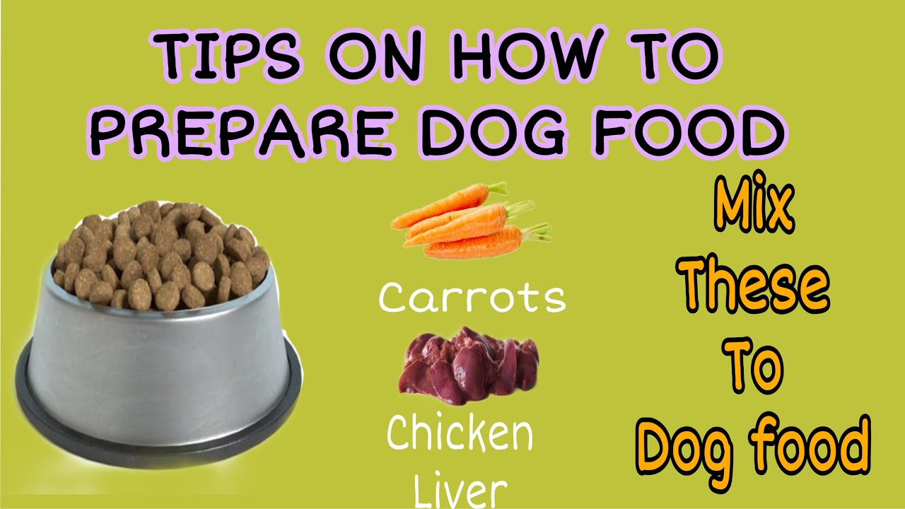 PAANO MAGHANDA NG DOG FOOD PARA SA ATING MGA ASO - YouTube