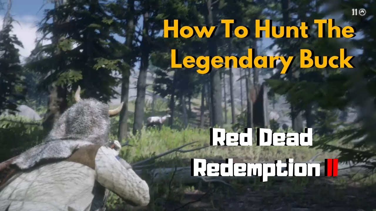 How To Find And Kill Legendary Buck Red Dead Redemption 2 - YouTube
