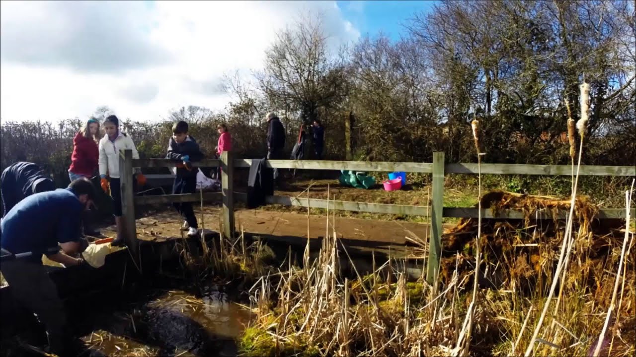 Hemyock School Wildlife Activity Day - YouTube