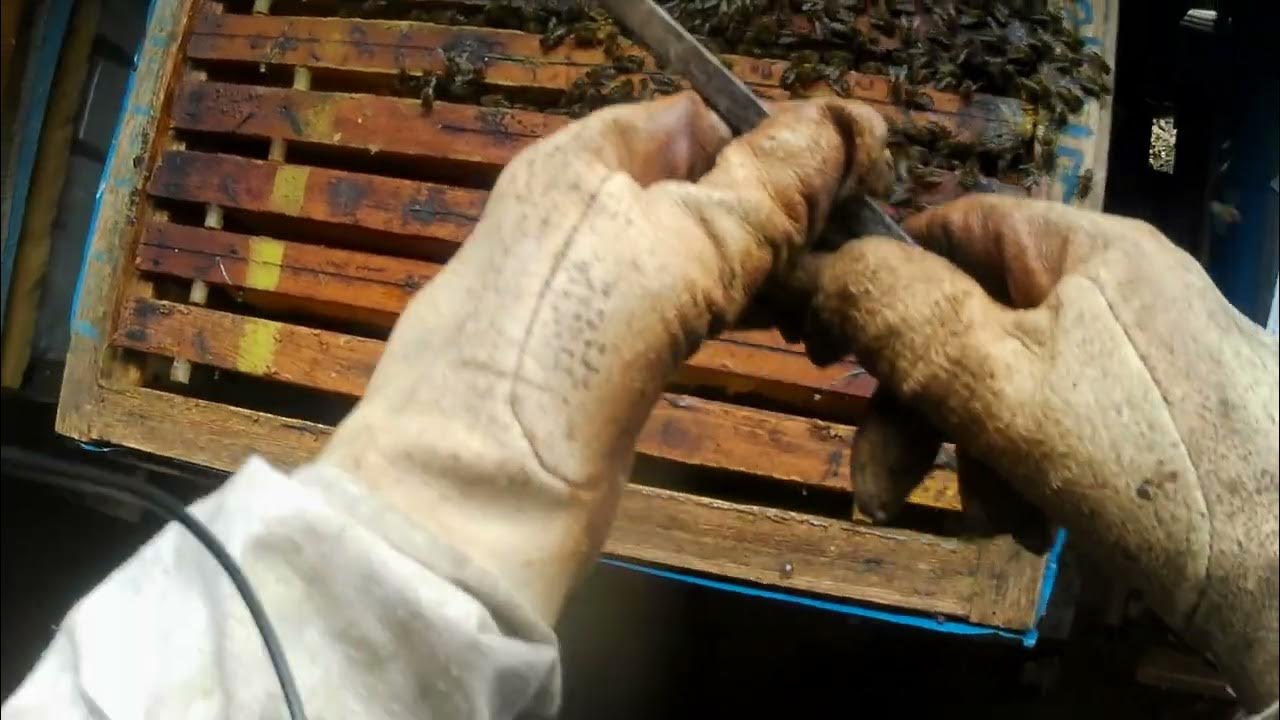 3 úl - 1867 video - 13. 3. 2024. - 20220313 003024 - YouTube