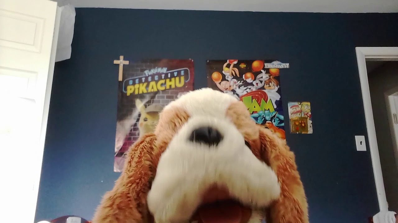 Meet Debbie the dog our mascot! - YouTube