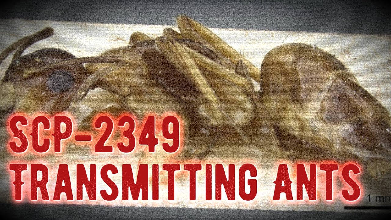 SCP-2349 - Transmitting Ants - Euclid [The SCP Foundation] - YouTube