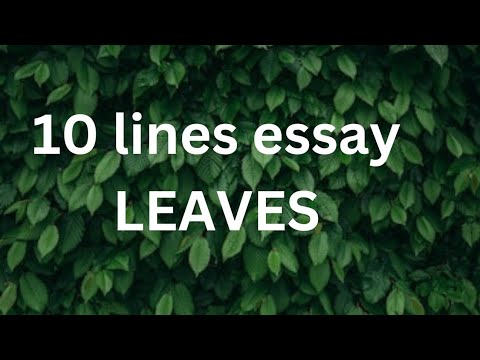 Leaves essay/10 lines on leaf/essay on leaves - YouTube