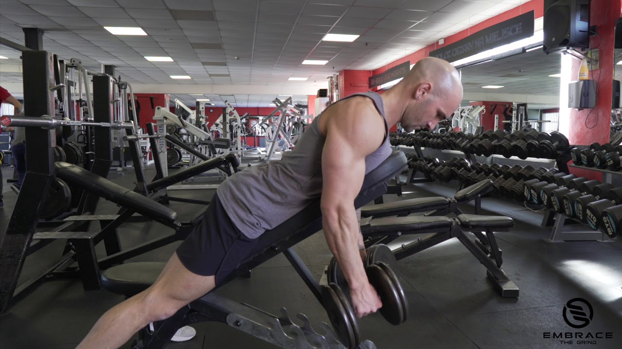 Dumbbell Hanging Rows - YouTube