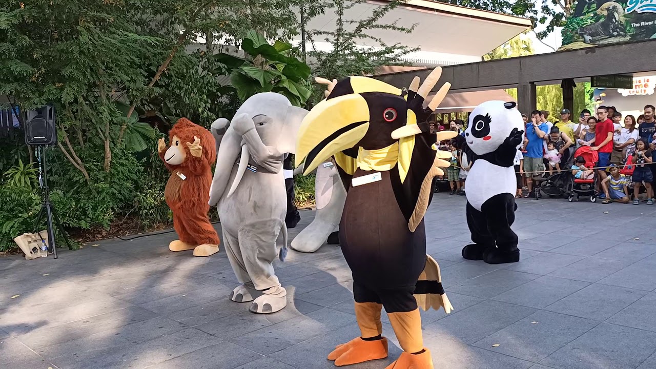 Singapore Zoo | River Safari | Mascots Dance - YouTube